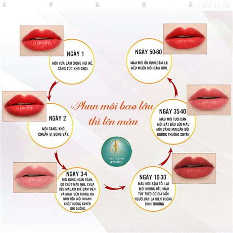 Tổng hợp hơn 55 hình ảnh vì sao xăm môi không lên màu vừa cập nhật