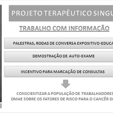 Quadro Ilustrativo Da Avalia O Conjunta De Um Projeto Terap Utico