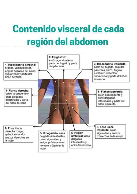 Contenido visceral de cada región del abdomen MARYURI LISBETH uDocz