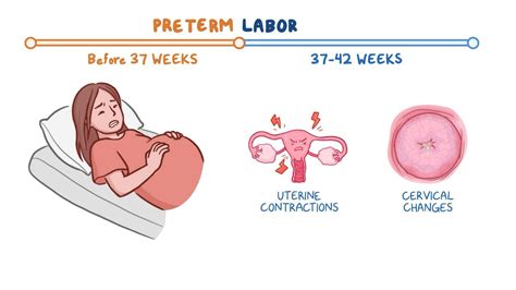 37 Weeks Fetus Born