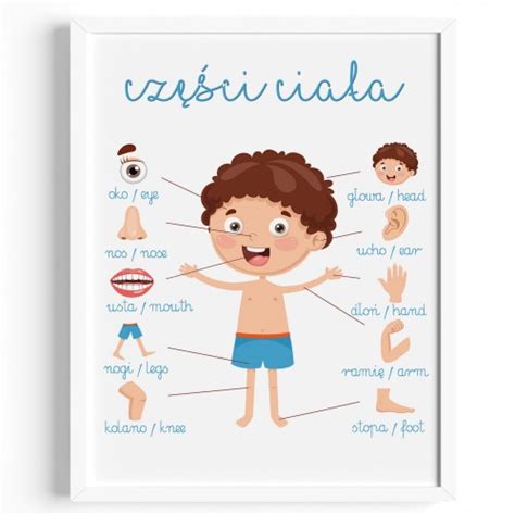 Plakat Edukacyjny Dla Dzieci Cz Ci Cia A Ch Opiec