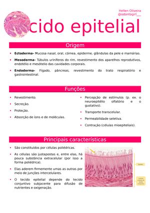P6 Resumo Guyton E Hall Fisiologia Medica 13 Ed FISIOLOGIA