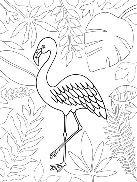 Coloriage Flamant Rose Gratuit Imprimer
