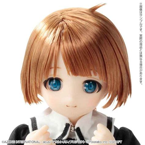 アゾン ピュアニーモキャラクターシリーズ No 147 アサルトリリィ Last Bullet二川 二水 完成品 とらのあな全年齢向け通販