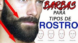 Inundar Visa Embarazada Tipos Barba Segun Rostro Ingeniero Evolucionar