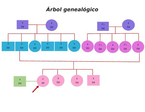 Árbol Genealógico Árbol genealógico ii Dd ii DD IA i Dd ii Dd ii DD