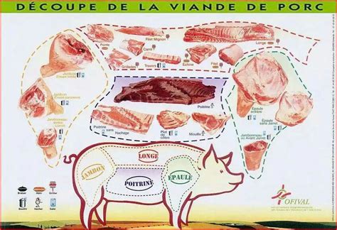 Épinglé par Marion sur découpe viande Porc Viande Viande de porc