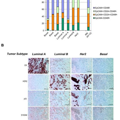 Surface Markers Epcam Cd And Cd F Classify Breast Cancer Cell