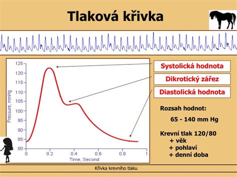 PPT Křivka krevního tlaku PowerPoint Presentation ID 5707090