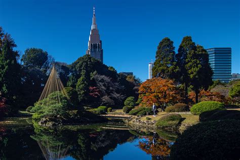 The Greatest Locations to See Autumn Leaves in Tokyo いろいろジャポン 無断複写転載