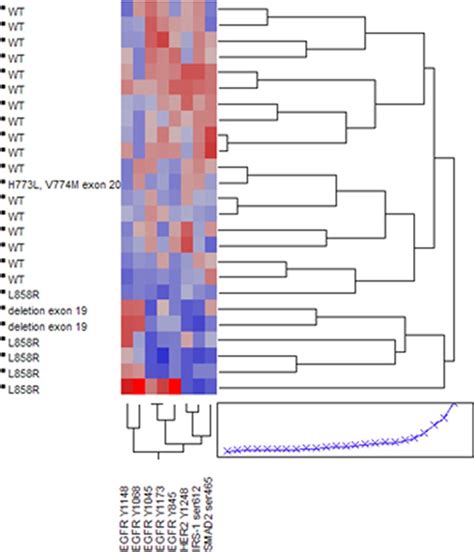 supervised hierarchical clustering of analyte subset determined by download scientific diagram