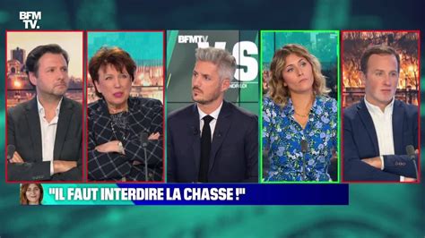 Il Faut Interdire La Chasse 08 01