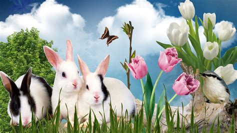 Spring And Rabbits HD Wallpapers 4k HD Spring And Rabbits