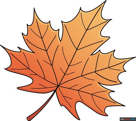 66 Step By Step Plant Drawing Tutorials