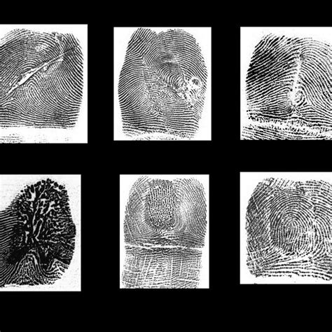 pdf altered fingerprints detection and localization