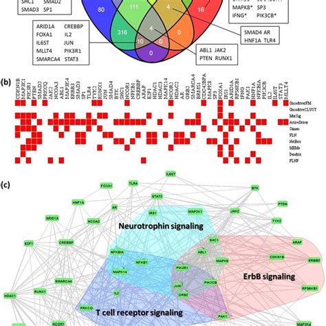 ensemble classifier ec flow chart tcga mutation data is used as download scientific diagram