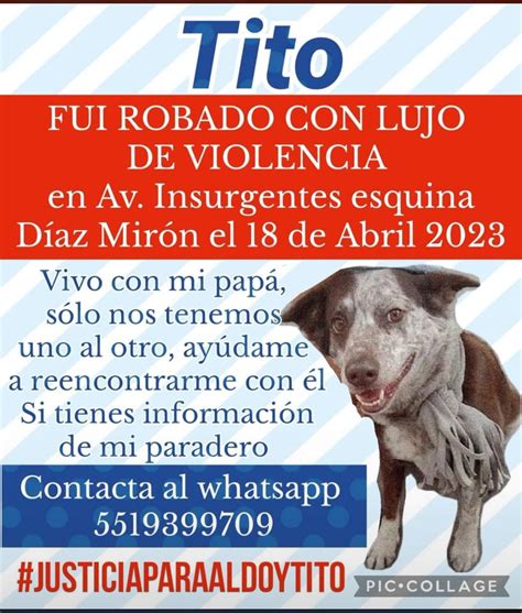 Fundación Toby on Twitter