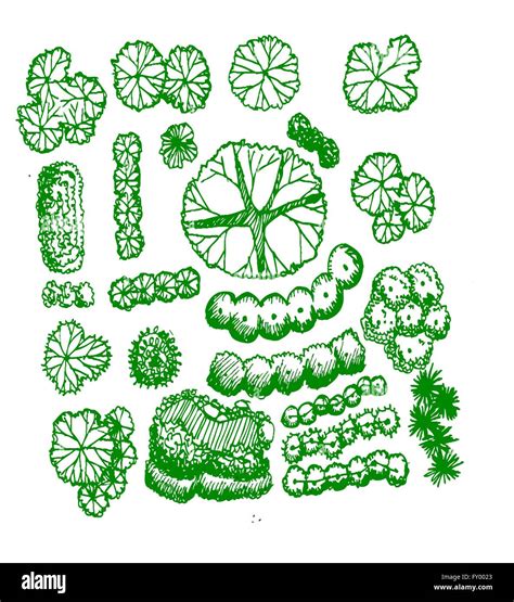 Trees Top View For Architecture Landscape Design Projects Stock Vector