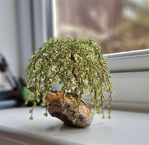 Grace On Twitter Rt Twystedroots New Tree Which Took Two Nights Of