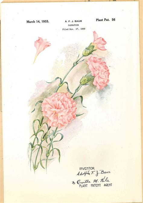 US National Archives On Twitter RT TodaysDocument A F J Baurs