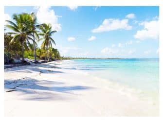 Excursion Sian Kaan Punta Allen En Jeep Desde Riviera Maya