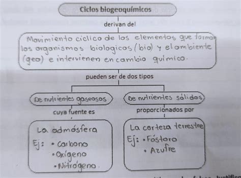 Los Ciclos Biogeoquimicos Mapa Conceptual Kulturaupice Porn Sex Picture