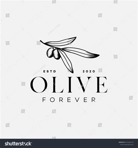 Illustration Olive Tree Logo Design With Vintage Royalty Free Stock