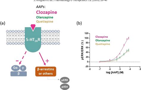 Figure 4 From Molecular Targets Of Atypical Antipsychotics From