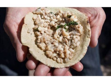Comida Típica de San Luis Potosí 10 platillos riquísimos