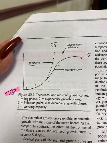 Bio Lab 102 Population Growth Flashcards Quizlet
