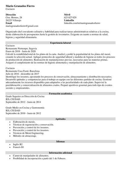 Descripción Personal para Currículum Ejemplos Prácticos 2024