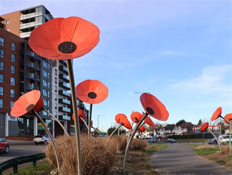 Poppies Tony Hisgett Flickr