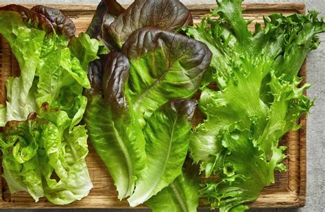 Decile que sí al verde cinco verduras de hoja fundamentales para sumar