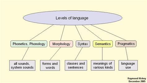 5 levels of language structure and their language and speech units