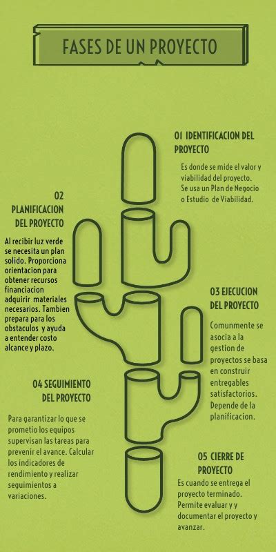 Fases De Un Proyecto
