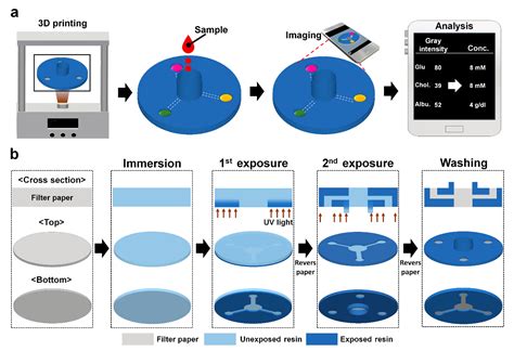 Biosensors Free Full Text Three Dimensional Paper Based