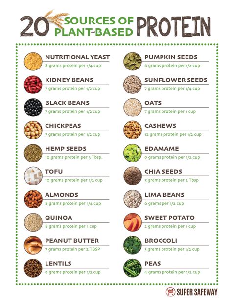 Best Plant Based Sources Of Protein Super Safeway