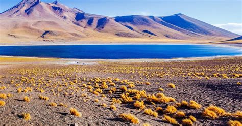 Desierto De Atacama