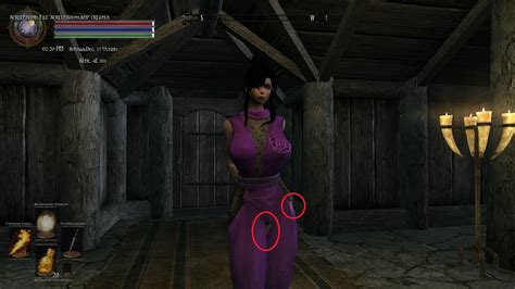 Bodyslide Does Not Fix Solved Skyrim Technical Support Loverslab