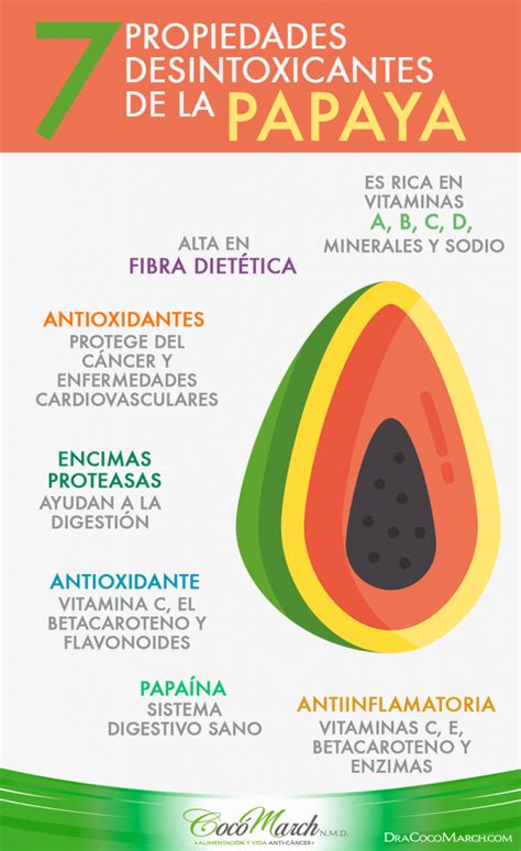 7 Propiedades Medicinales De La Papaya Que Desconocías Coco March