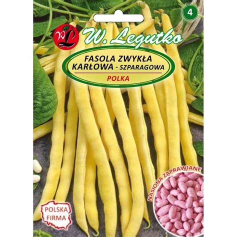Fasola Czarna Karłowa Nasiona warzyw o czarnych kwiatach