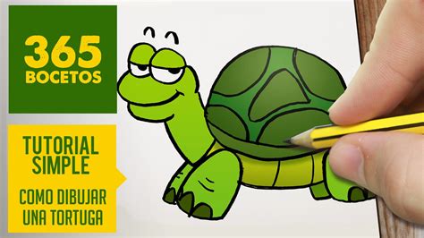 Como Dibujar Una Tortuga Muy Facil Images And Photos Finder