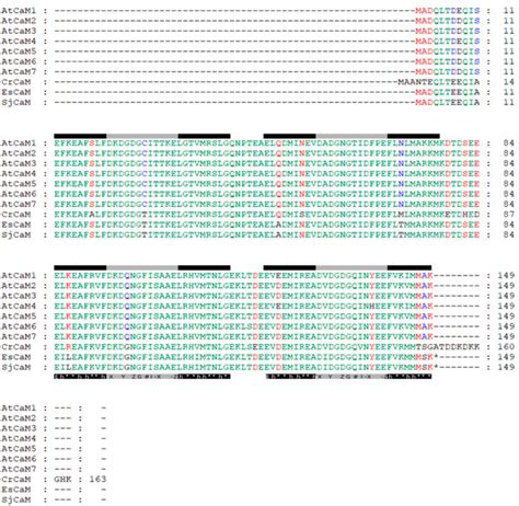 Figure 1 from Genome Wide Identiﬁcation and Expression Analysis of