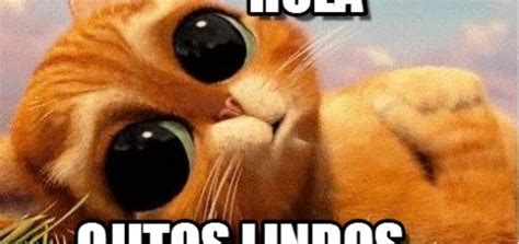Total 76 Imagen Hola Memes Chistosos Abzlocal Mx