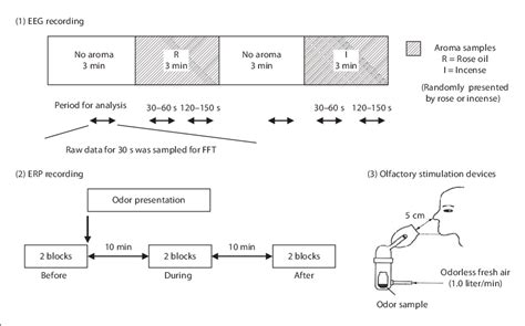 experimental protocol of eeg and erp measurements fft fast fourier download scientific