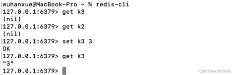 mac for m1 arm ：安装redis的四种方式（本机安装、homebrew安装、虚拟机安装、docker安装） mac m1安装redis wu 55555的博客 csdn博客