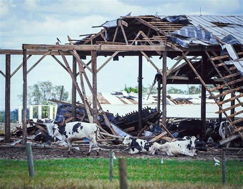 Devastation
