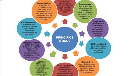 O Que Sao Principios Eticos SOLOLEARN