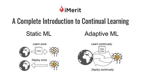 a complete introduction to continual learning imerit