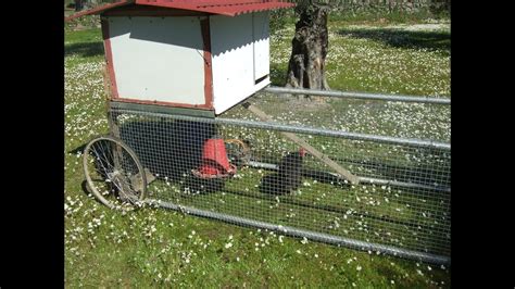 Gallinero Port Til Con Ruedas Youtube